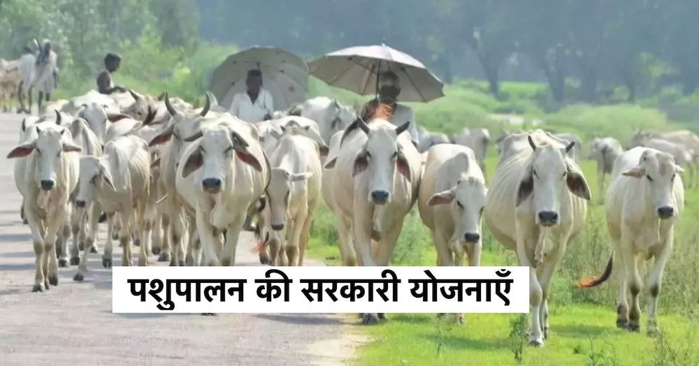 पशुपालन की सरकारी योजनाओं के बारे में जानकारी
